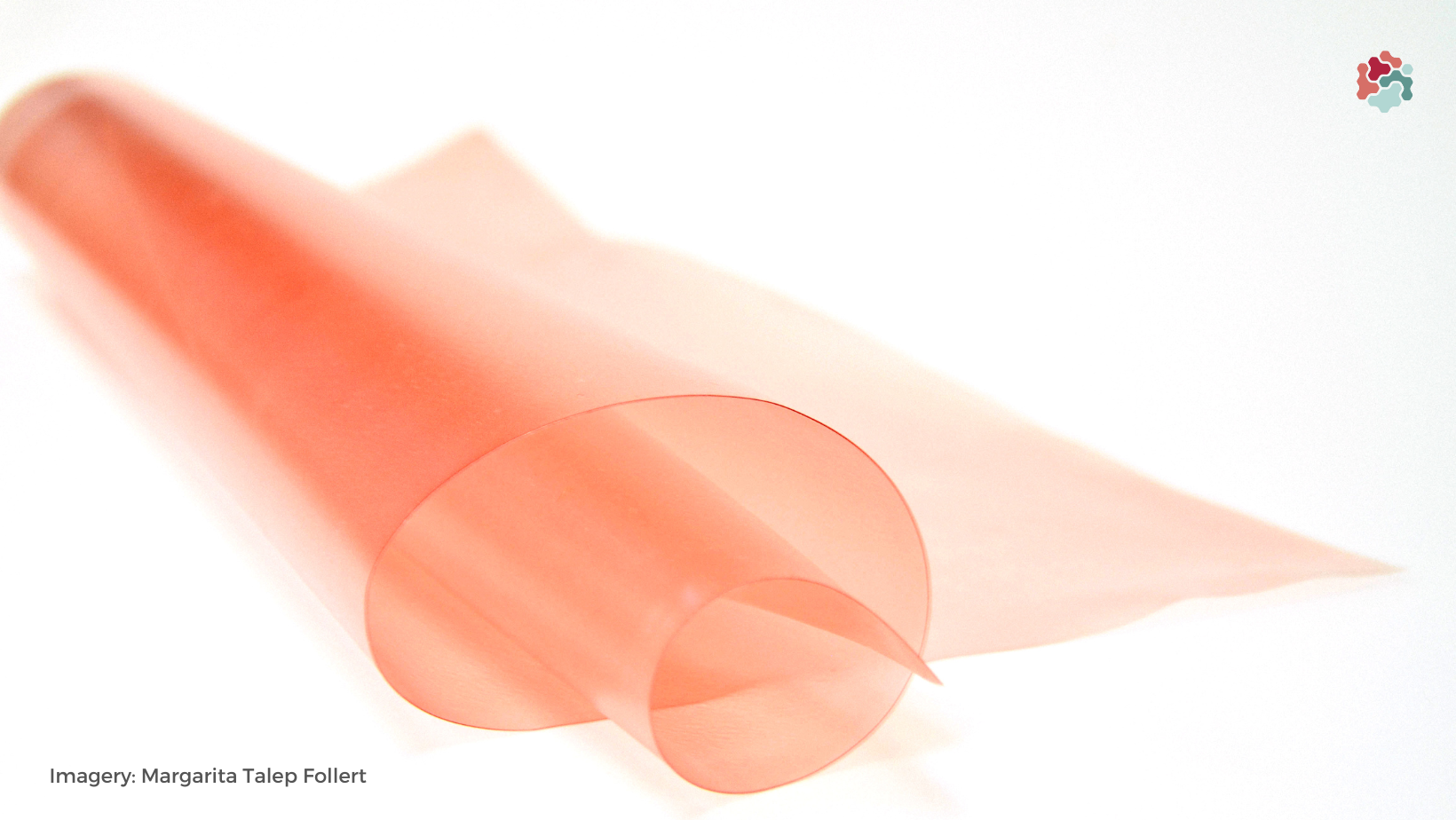 Agar biopolymer films for biodegradable packaging: A reference dataset ...